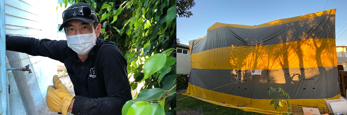 Y's Pest Control is a Pest Control Company in Harbor City, CA 90710